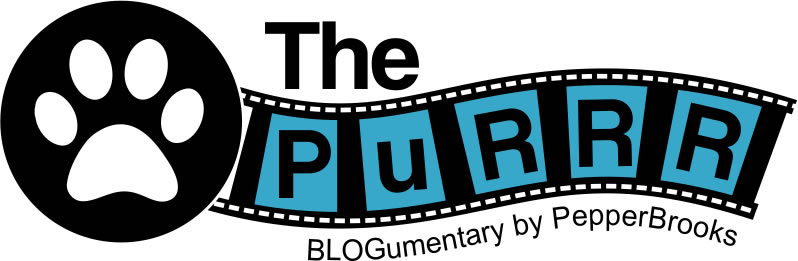 The PuRRR | BLOGUMENTARY by PEPPERBROOKS | PERSONA OF THE NORTH